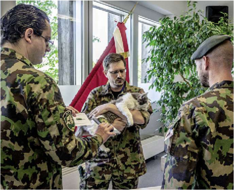 FORUM | Schweizer Soldat